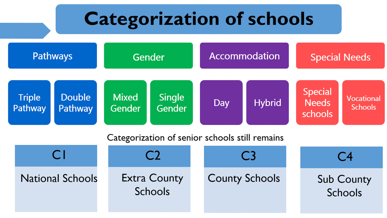 Guiding your child’s future: Pathways, tracks, and subject combinations ...